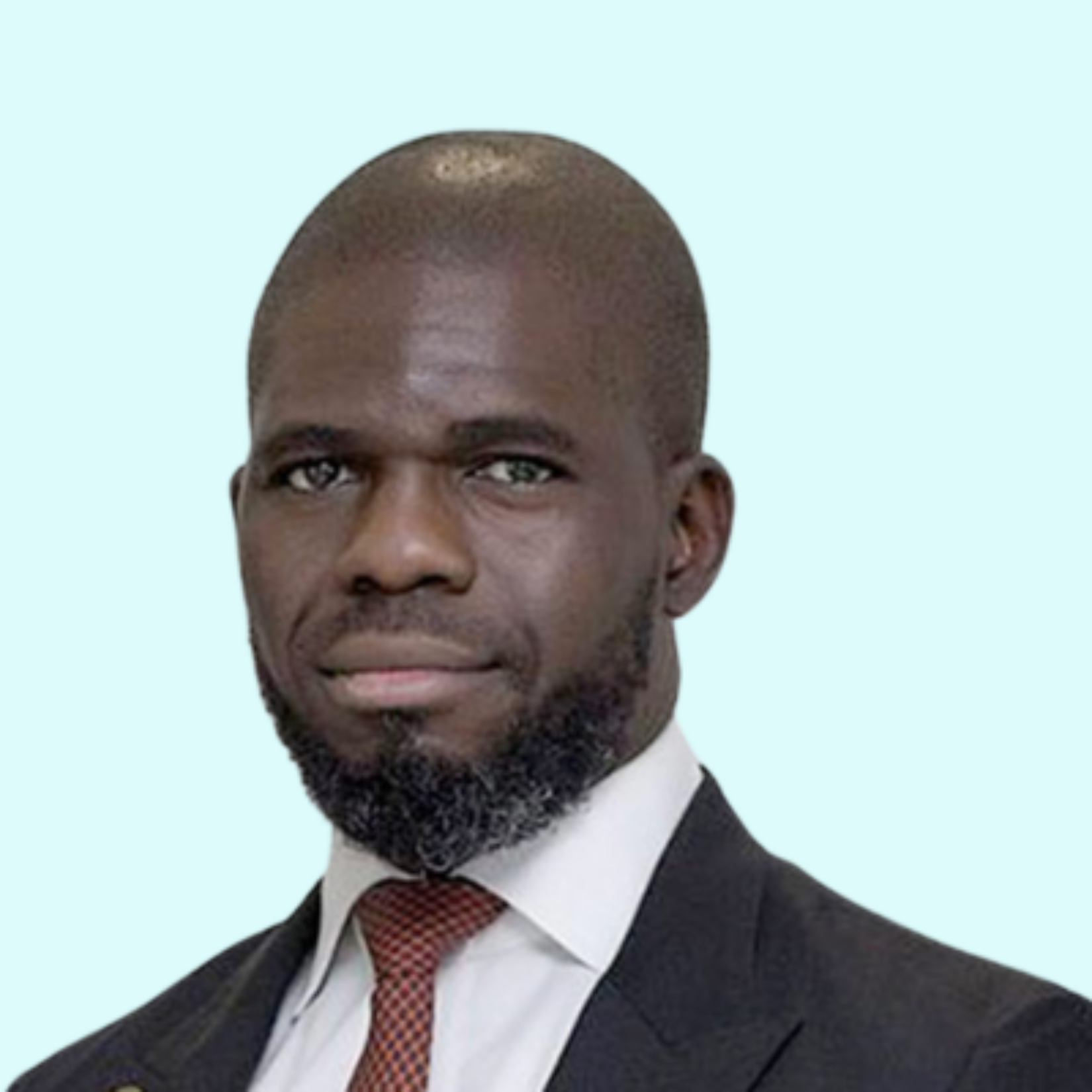 Mentors - Endeavor Nigeria