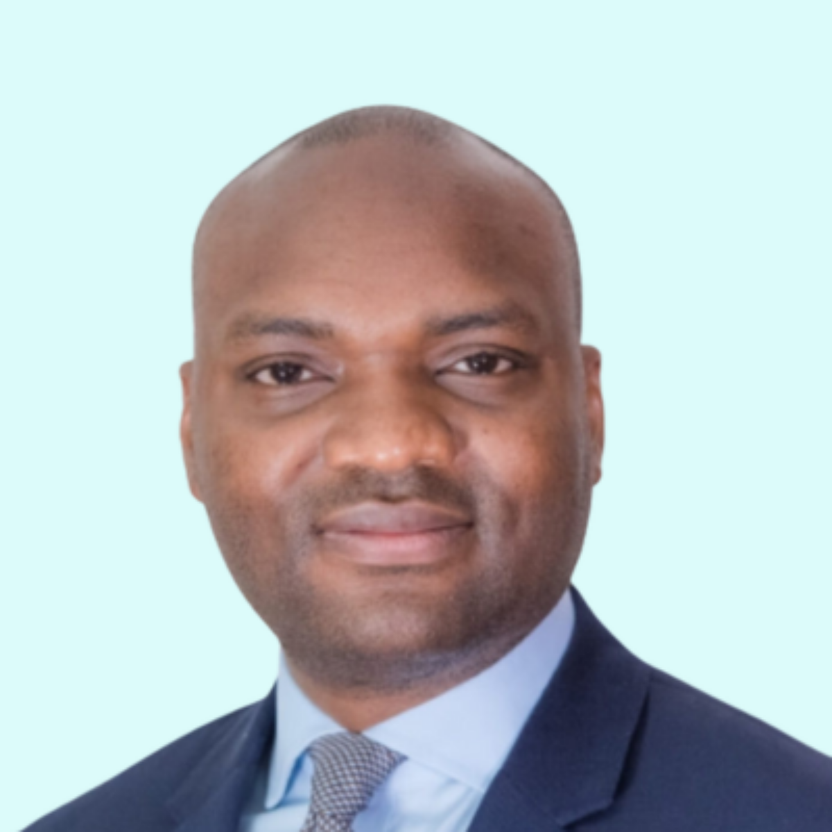 Mentors - Endeavor Nigeria